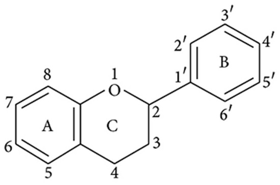 Applied Sciences | Free Full-Text | Modern Techniques for Flavonoid ...