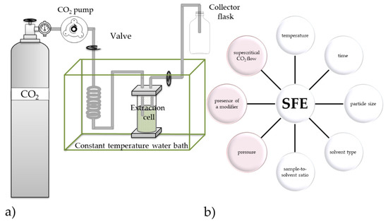 Applied Sciences | Free Full-Text | Modern Techniques for Flavonoid Extraction—To Optimize or ...