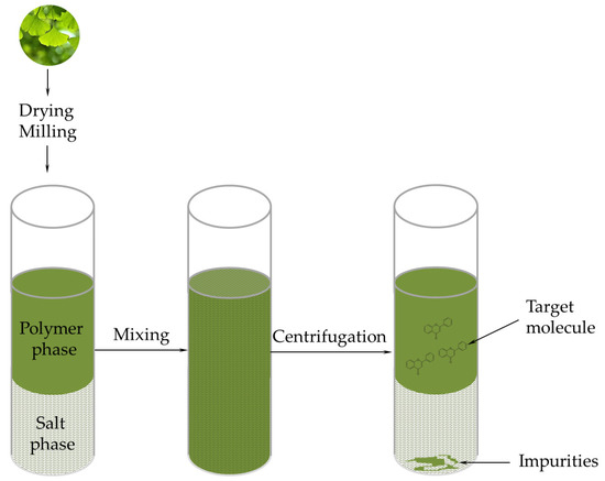Applied Sciences | Free Full-Text | Modern Techniques for Flavonoid ...