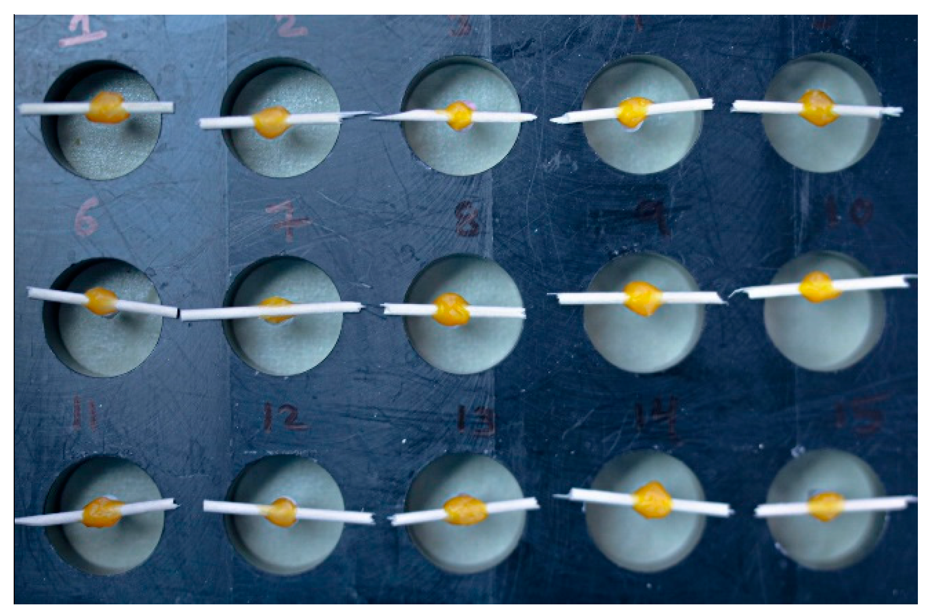 In Vitro Study Comparing Retention of Custom Post and Cores Fabricated ...