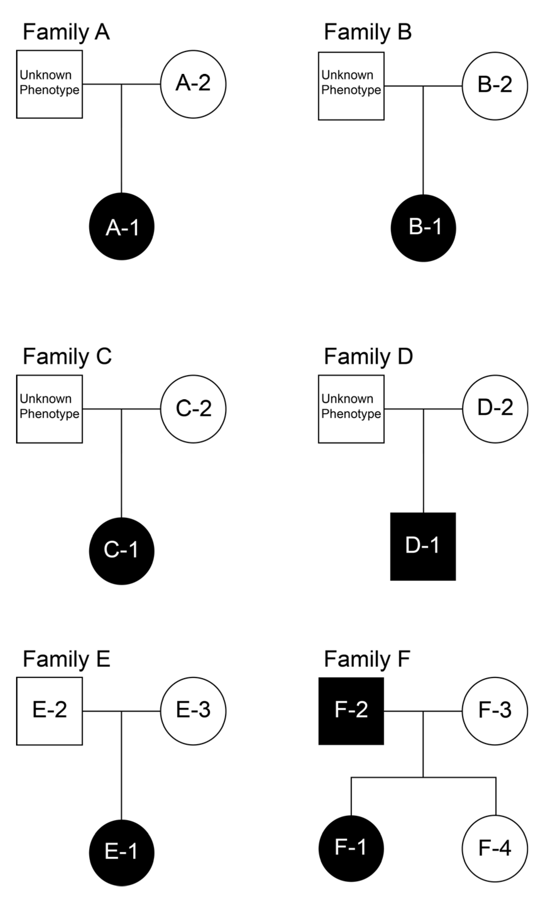 Comprehensive Genetic Exploration of Fused Teeth by Whole Exome Sequencing