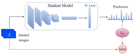 Improving Semi-Supervised Image Classification by Assigning Different ...