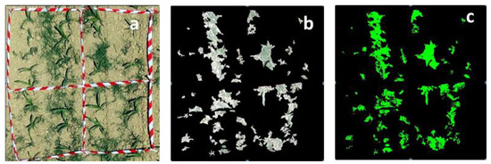 A Simple Method to Estimate Weed Control Threshold by Using RGB Images ...