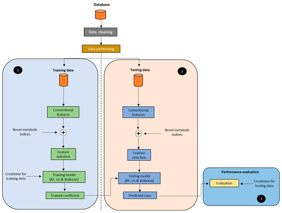 Machine Learning Approach for Chronic Kidney Disease Risk Prediction Combining Conventional Risk ...