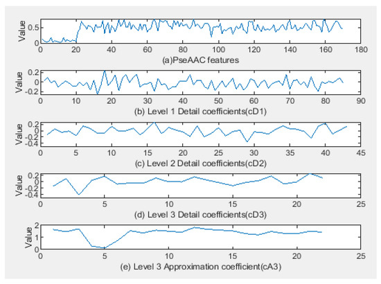 Optimization of Discrete Wavelet Transform Feature Representation and Hierarchical ...