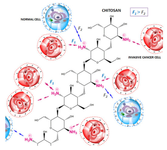 In Vitro Model for Evaluation of Cancer Cell Proliferative Activity ...