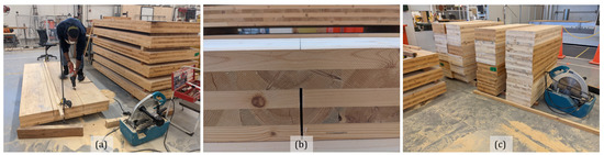 Behavior and Damage Characterization of Impulsively Loaded Cross ...