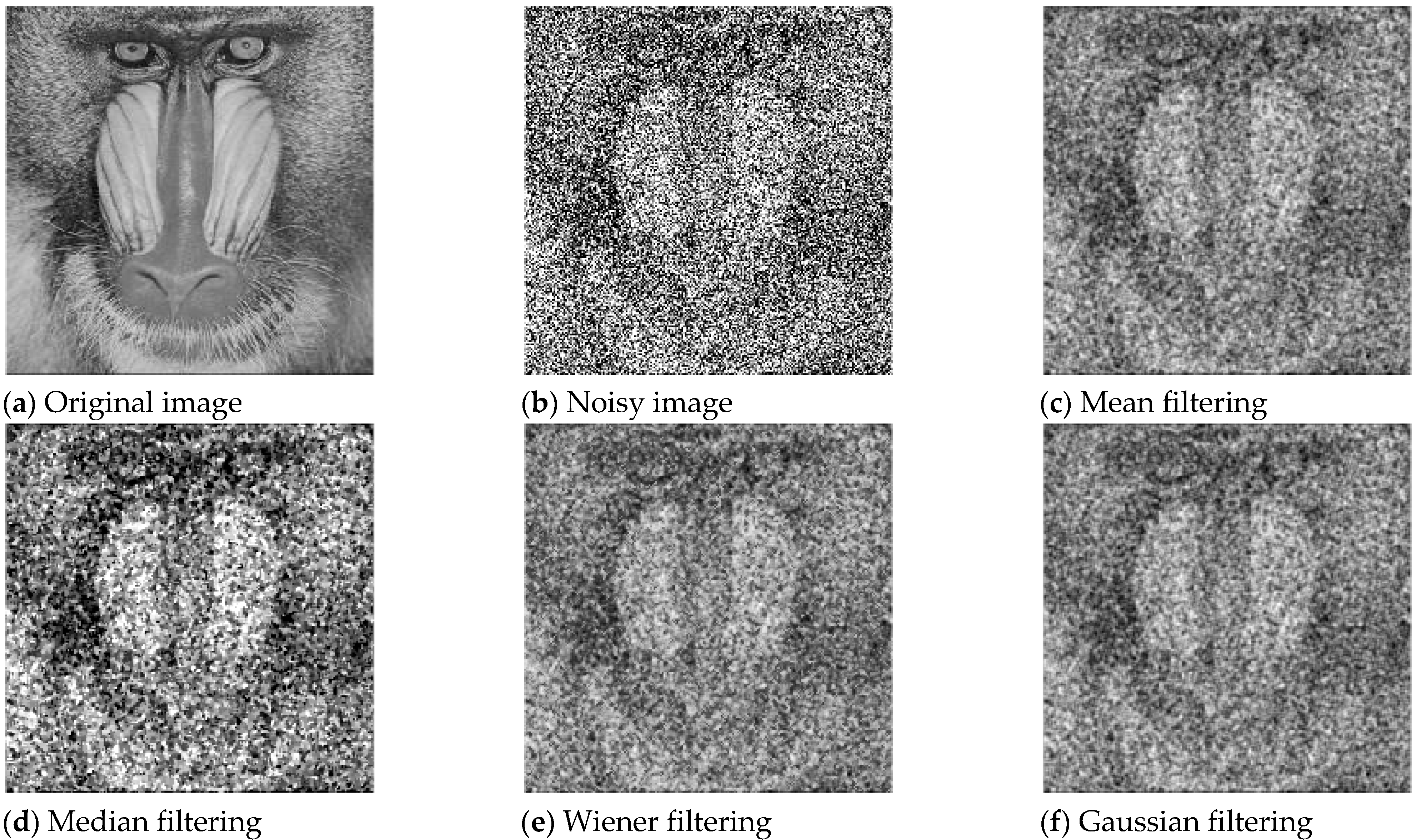 Gray Image Denoising Based on Array Stochastic Resonance and Improved Whale Optimization Algorithm