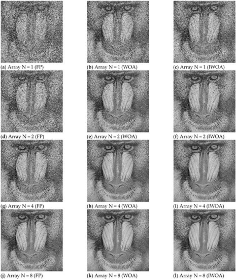 Gray Image Denoising Based on Array Stochastic Resonance and Improved Whale Optimization Algorithm