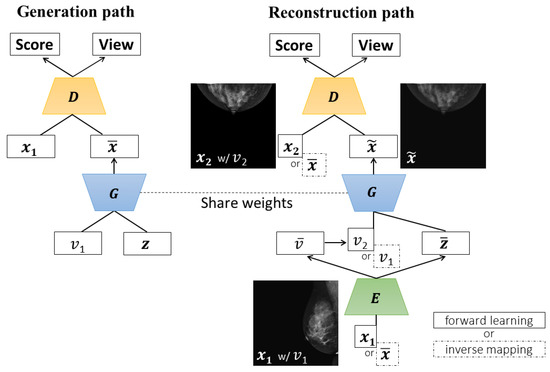 Two-View Mammogram Synthesis from Single-View Data Using Generative ...