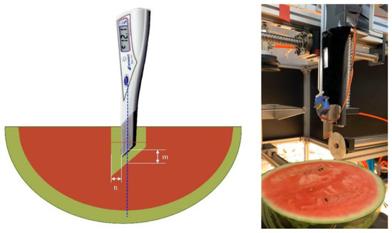 Automatic Brix Measurement for Watermelon Breeding