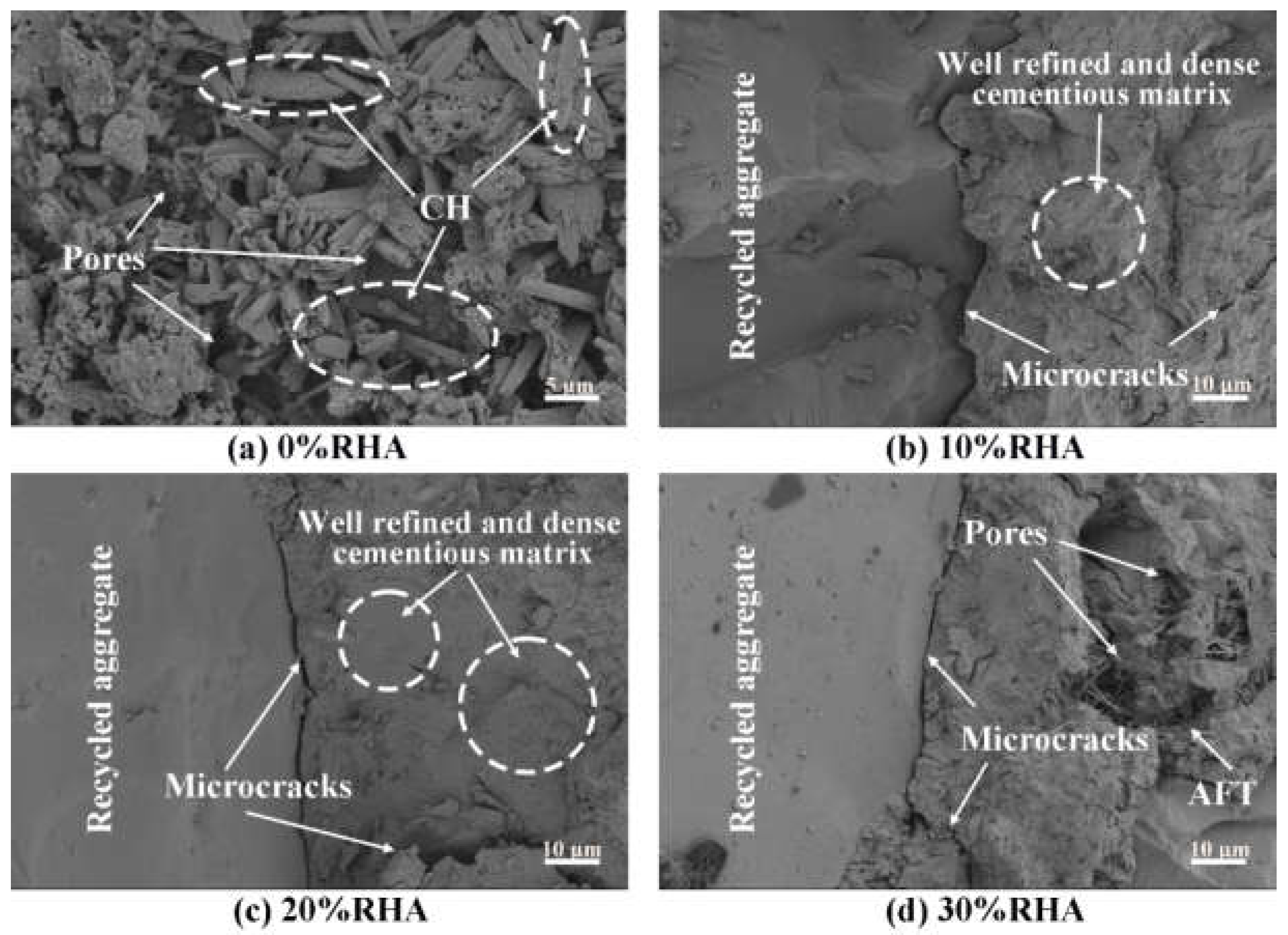 Impact of Rice Husk Ash on the Mechanical Characteristics and Freeze ...