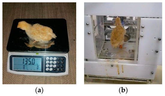 A Real-Time Automated System for Monitoring Individual Feed Intake and Body Weight of Group ...