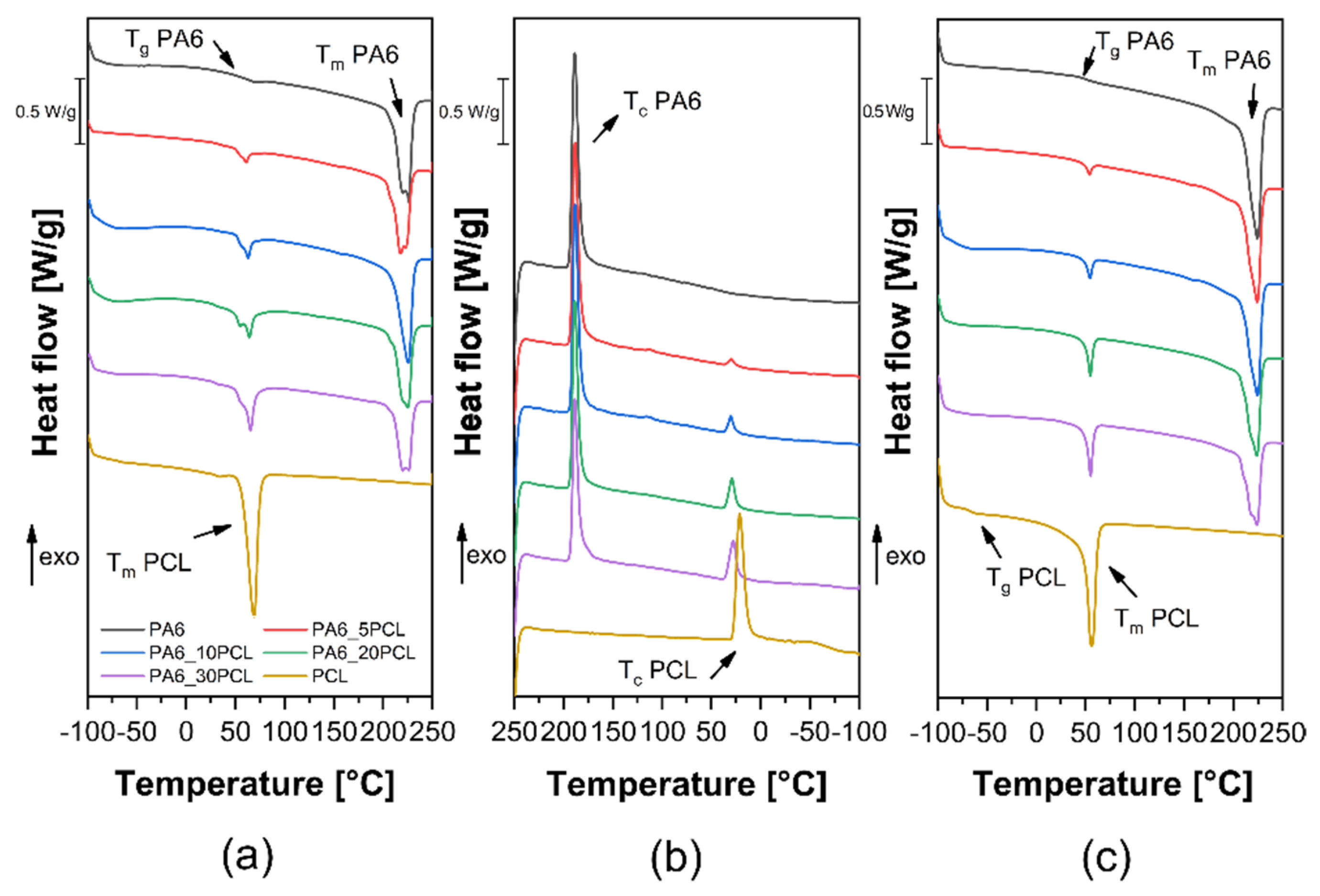 Development of Polyamide 6 (PA6)/Polycaprolactone (PCL) Thermoplastic ...