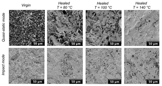 Development of Polyamide 6 (PA6)/Polycaprolactone (PCL) Thermoplastic ...