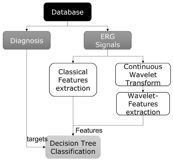 Advanced Analysis of Electroretinograms Based on Wavelet Scalogram ...