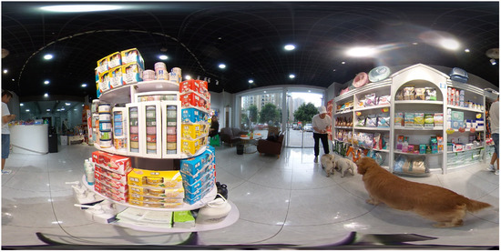 Classification and Object Detection of 360° Omnidirectional Images Based on Continuity ...