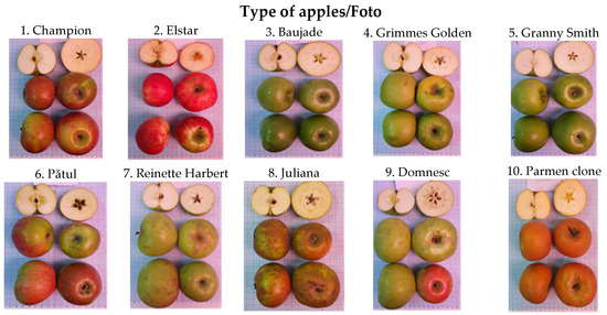 Baby Food Purees Obtained from Ten Different Apple Cultivars and ...