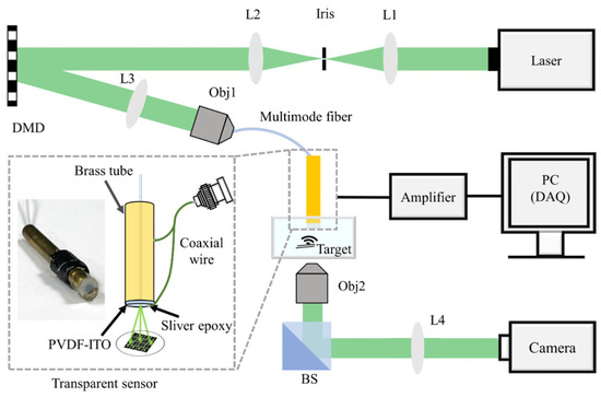 Wavefront Shaping-Assisted Forward-Viewing Photoacoustic Endomicroscopy ...