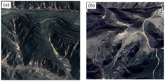 An Improved Shoulder Line Extraction Method Fusing Edge Detection and ...