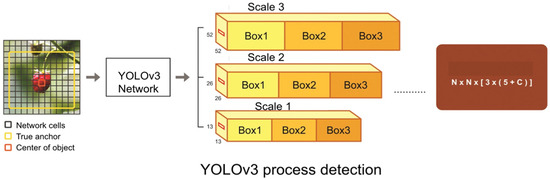 Applied Sciences | Free Full-Text | Promotion of Color Sorting in Industrial Systems Using a ...