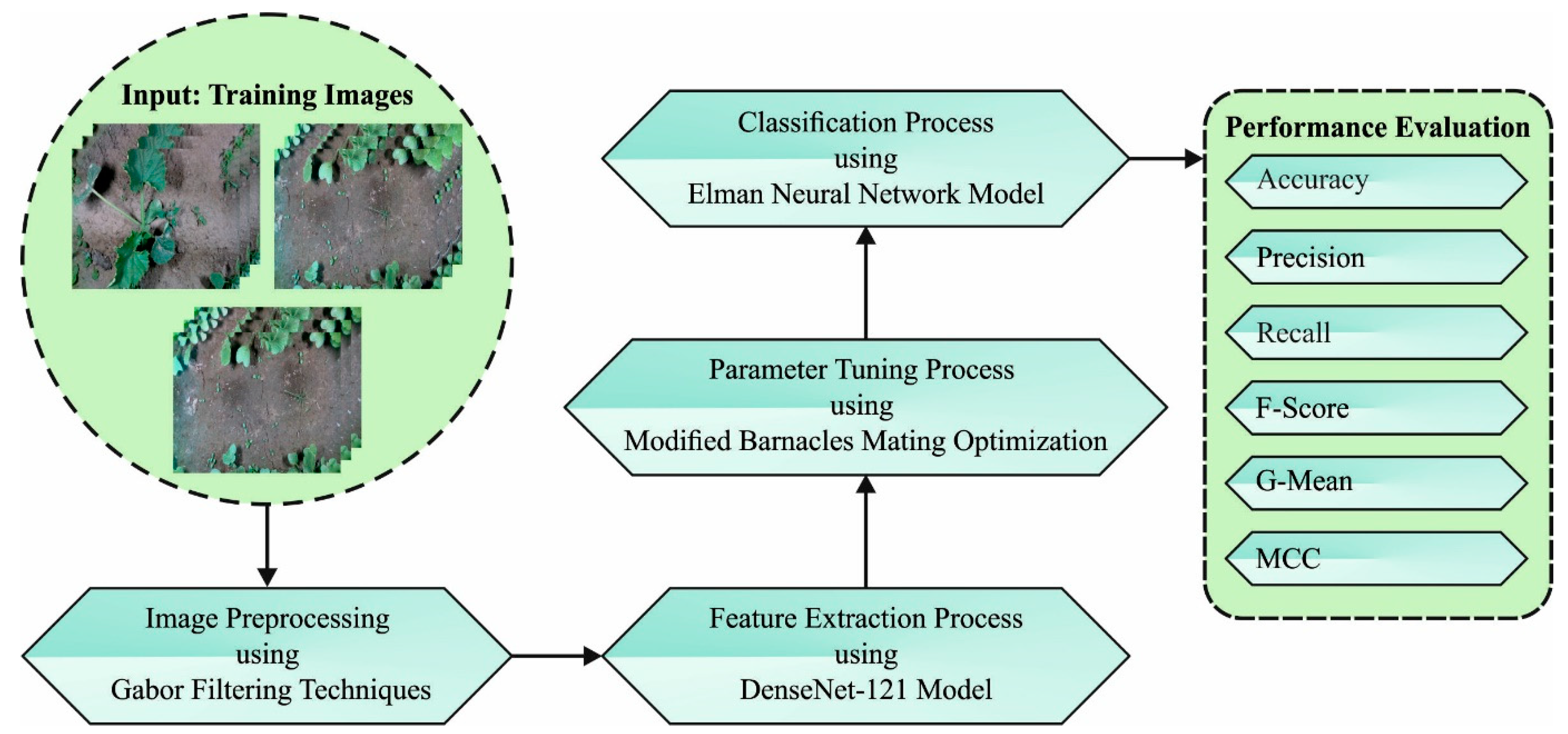 Modified Barnacles Mating Optimization with Deep Learning Based Weed Detection Model for Smart ...