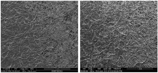 A Review of Applications of Nanocellulose to Preserve and Protect ...