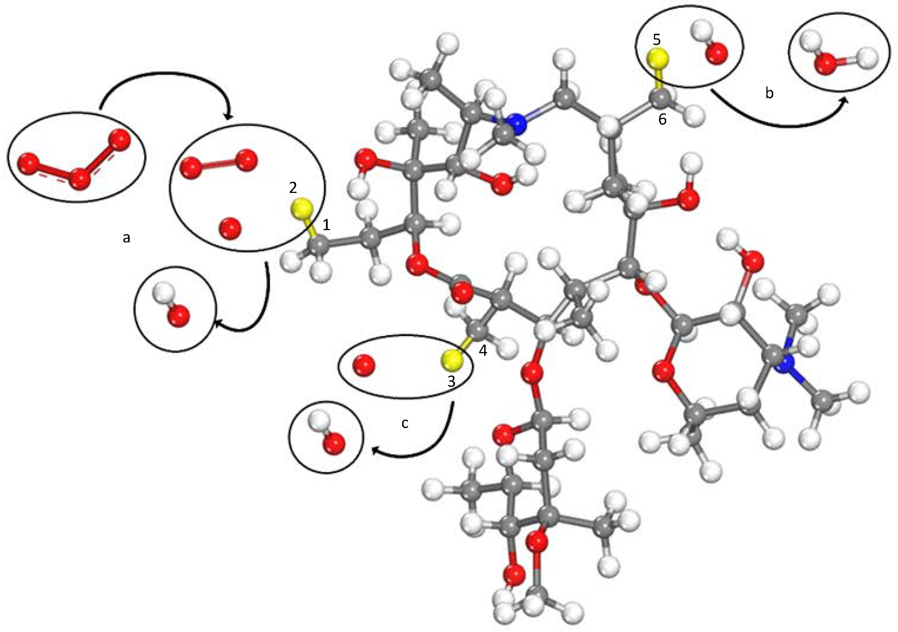 Numerical Simulation of Interaction between Plasma and Azithromycin Based on Molecular Dynamics