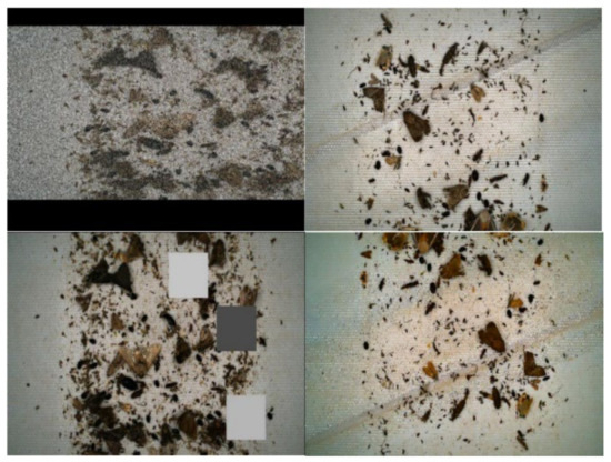 Deep Learning-Based Image Recognition of Agricultural Pests