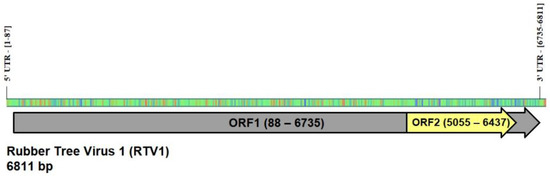 Computational Biology and Machine Learning Approaches Identify Rubber ...