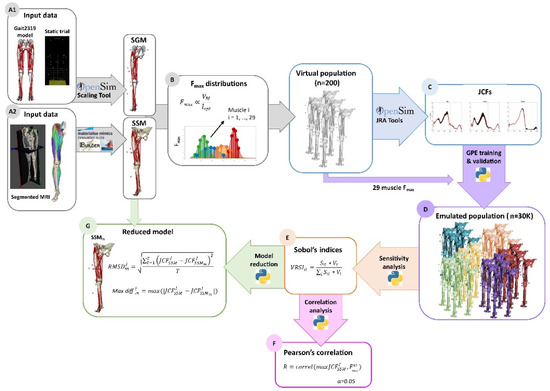 Reducing the Complexity of Musculoskeletal Models Using Gaussian Process Emulators