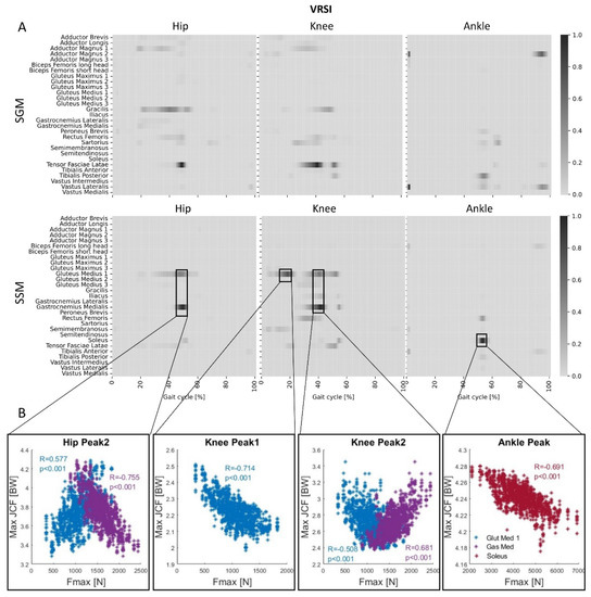Reducing the Complexity of Musculoskeletal Models Using Gaussian ...