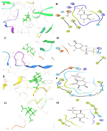 Applied Sciences | Free Full-Text | Extraction and Characterization of ...