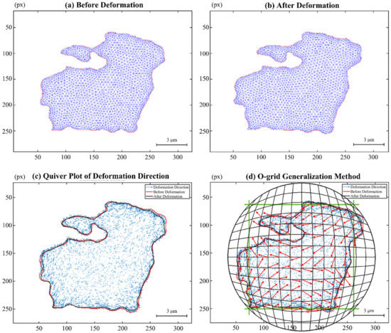 Integrated Image Processing Toolset for Tracking Direction of Metal ...