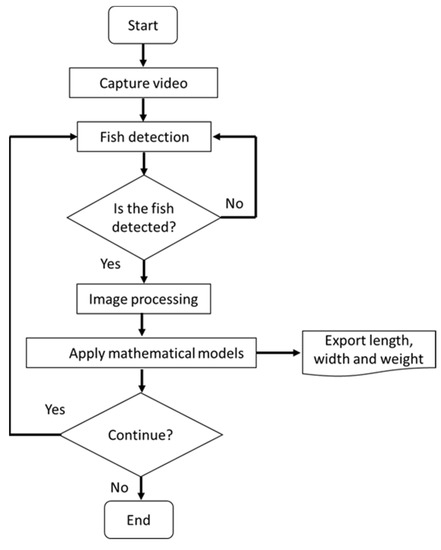 An Improved Method to Obtain Fish Weight Using Machine Learning and NIR ...