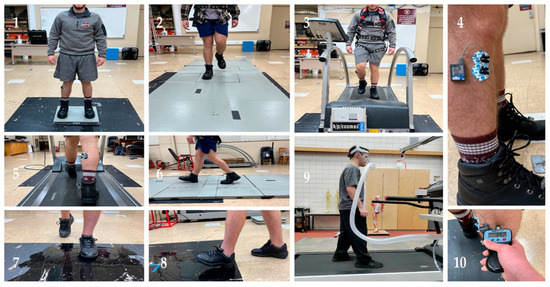 Occupational Footwear Design Influences Biomechanics and Physiology of ...