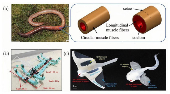 Review of the Research Progress in Soft Robots