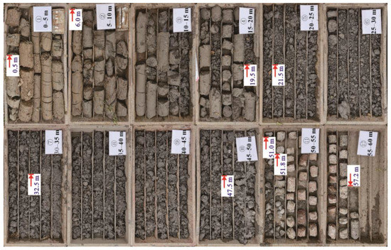 Estimation of Shallow Shear Velocity Structure in a Site with Weak Interlayer Based on ...