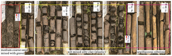 Estimation of Shallow Shear Velocity Structure in a Site with Weak Interlayer Based on ...