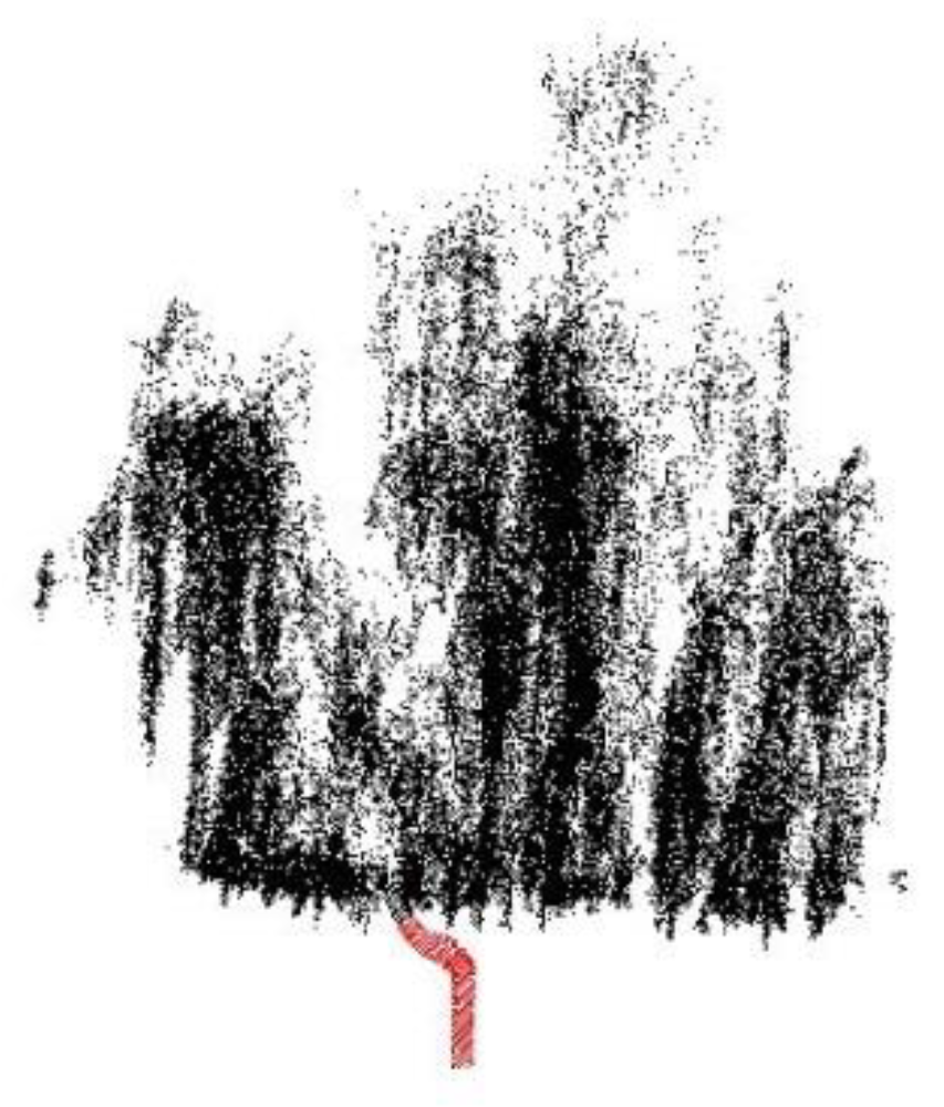 Hierarchical Fine Extraction Method Of Street Tree Information From Mobile Lidar Point Cloud Data