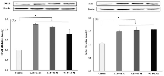 Effect of a Silk Sericin and Methylsulfonylmethane (MSM) Blends on ...