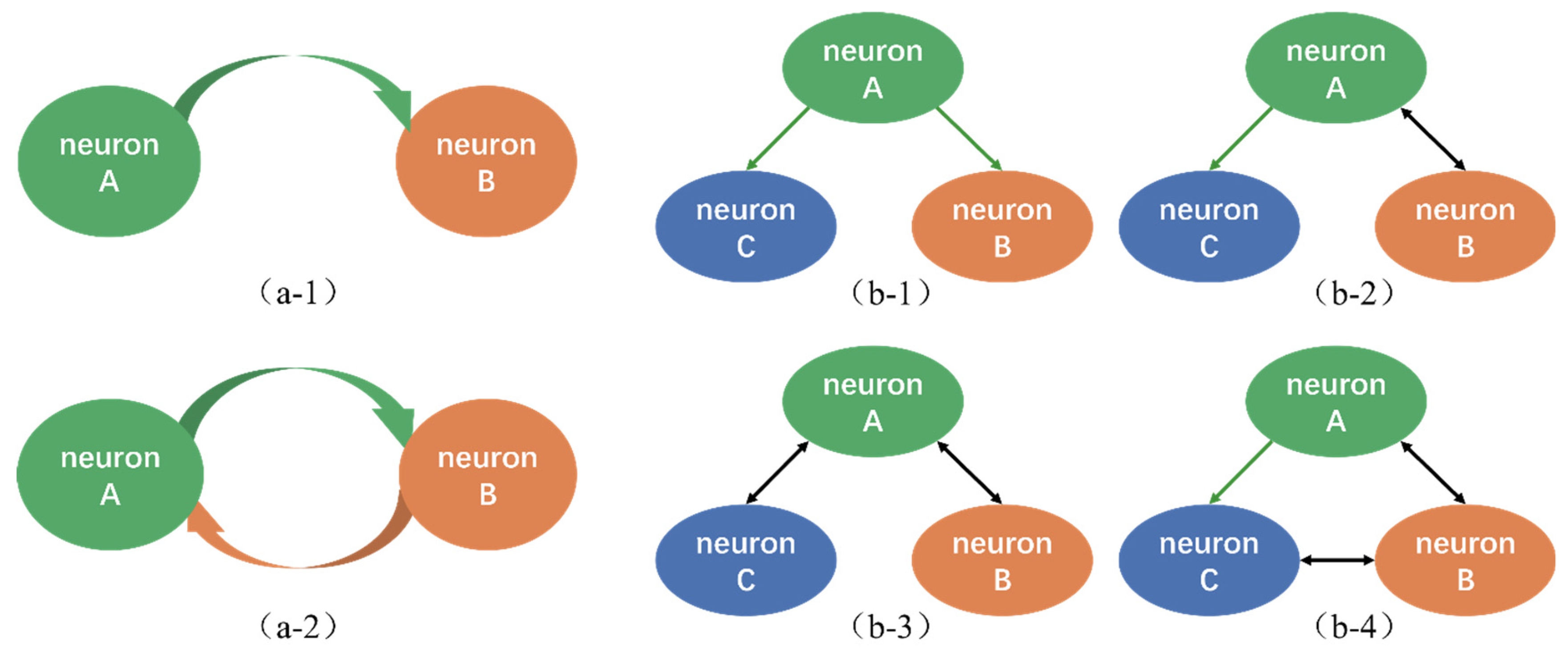 Dynamic Pathway Selection Mechanisms of Brain Networks
