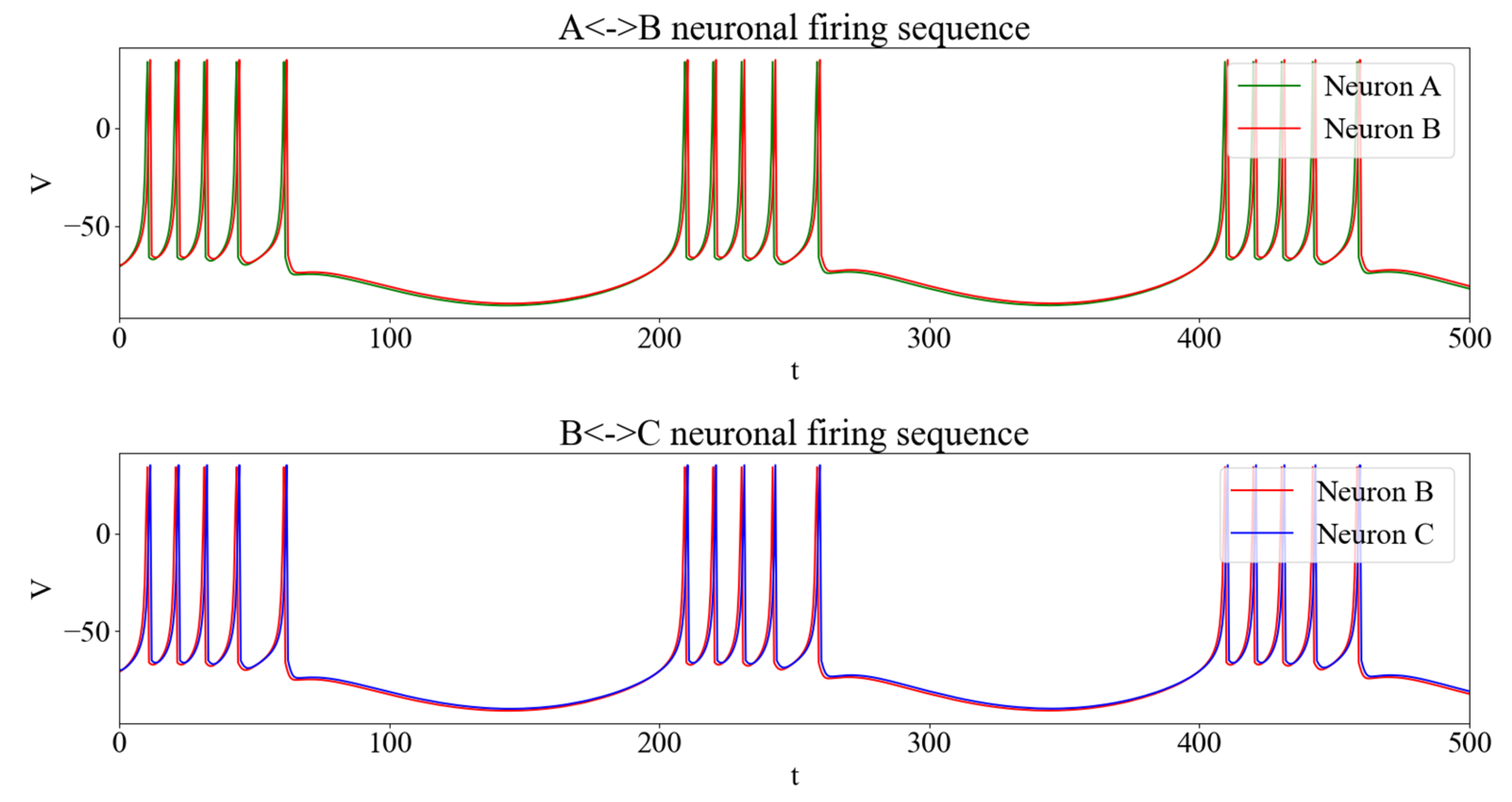 Dynamic Pathway Selection Mechanisms of Brain Networks