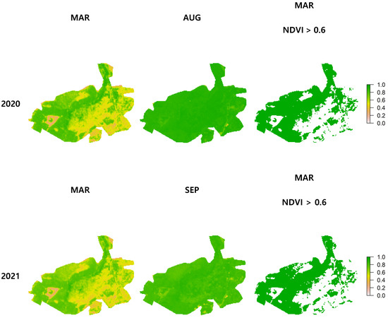 Classification of Tree Composition in the Forest Using Images from ...