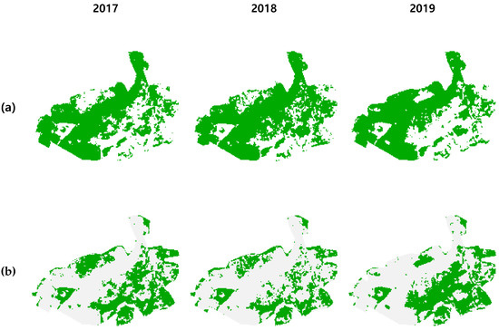 Classification of Tree Composition in the Forest Using Images from ...