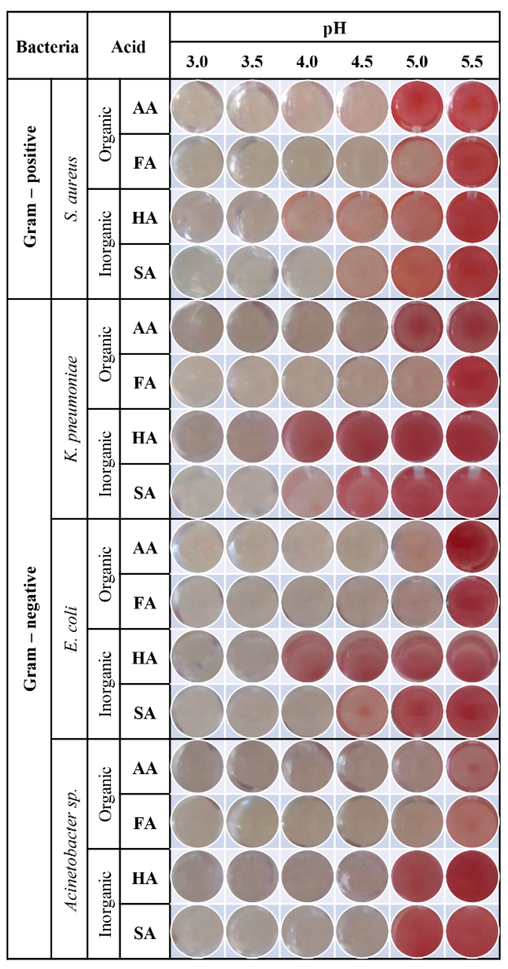 Understanding the Tolerance of Different Strains of Human Pathogenic ...