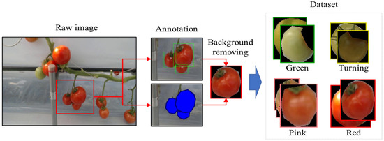 Tomato Maturity Estimation Using Deep Neural Network