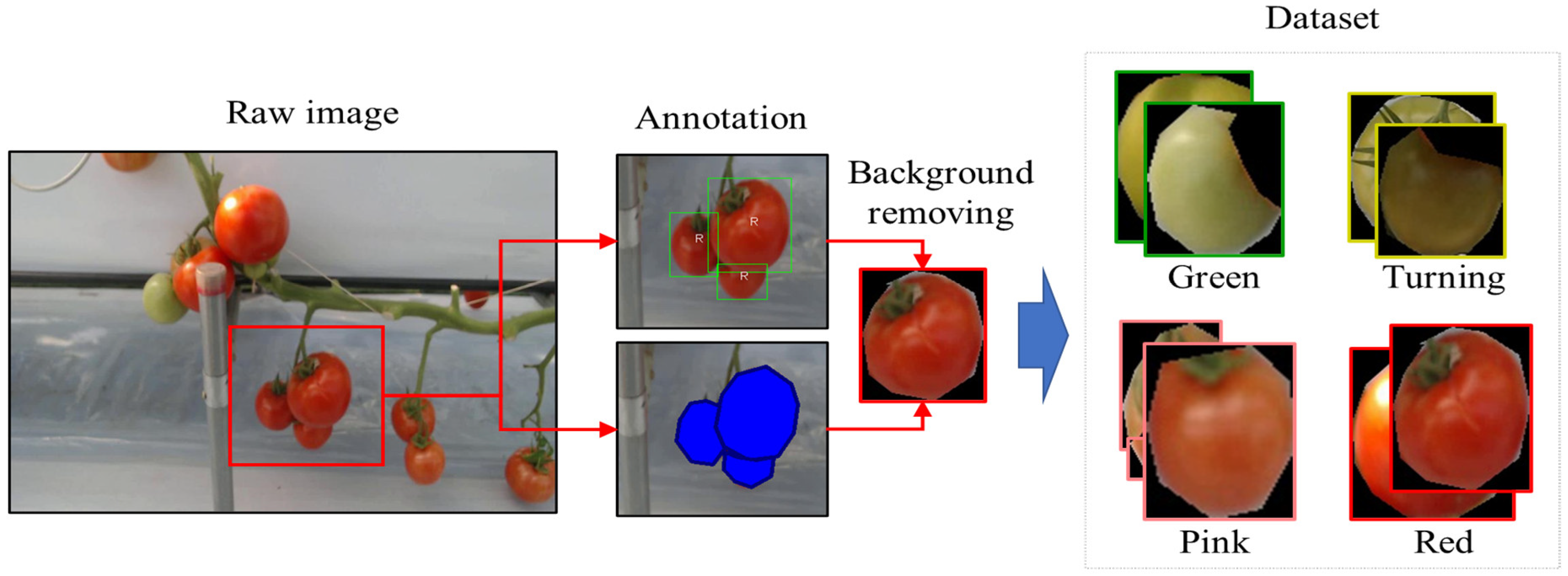Tomato Maturity Estimation Using Deep Neural Network