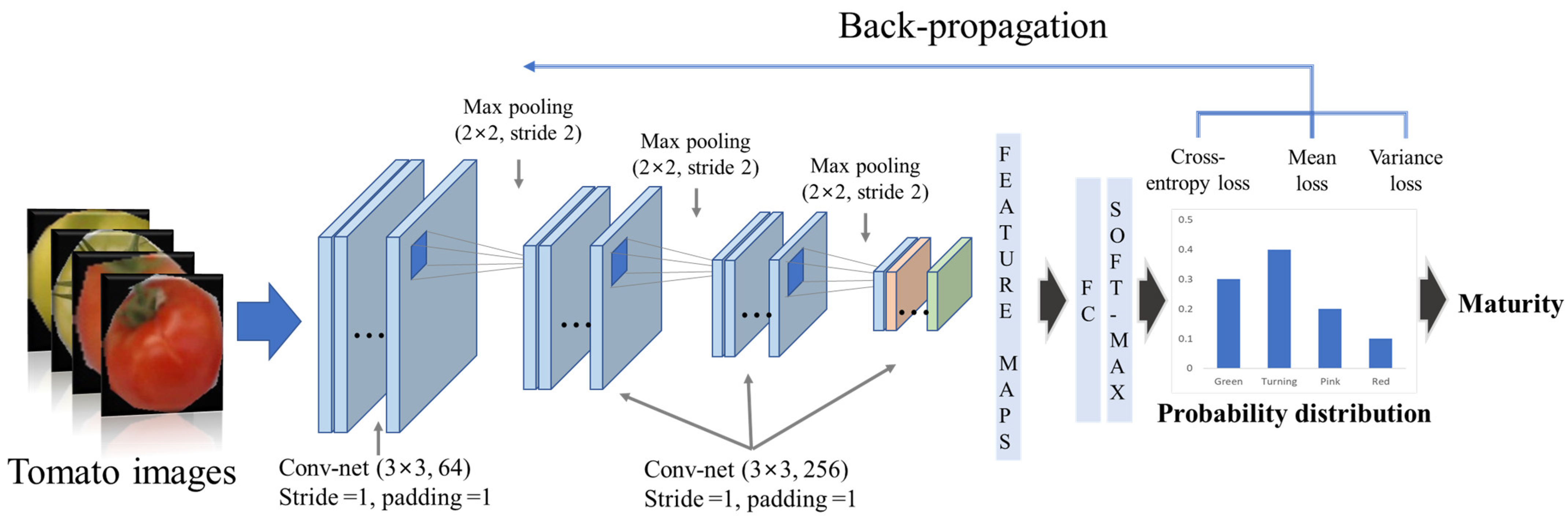 Tomato Maturity Estimation Using Deep Neural Network
