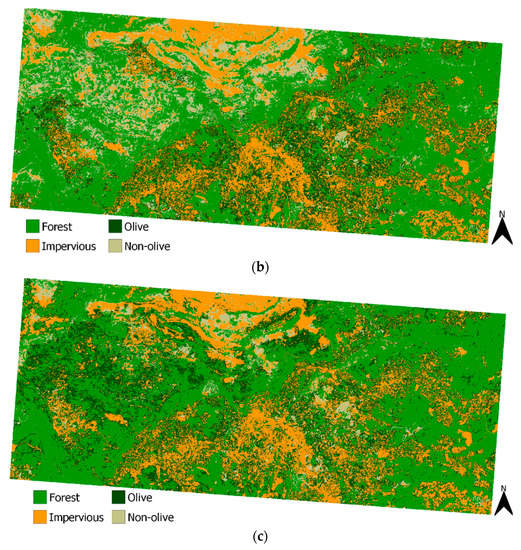 Multi-Classifier Pipeline for Olive Groves Detection